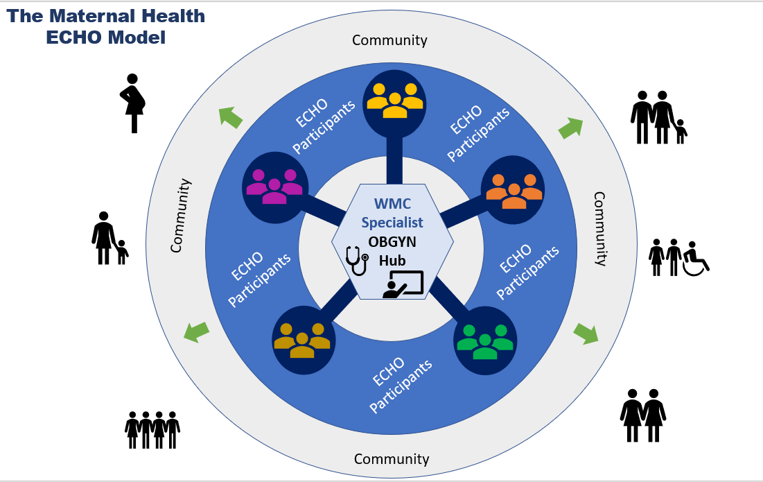 Center for Women’s Health Equity – Westchester Medical Center Health ...